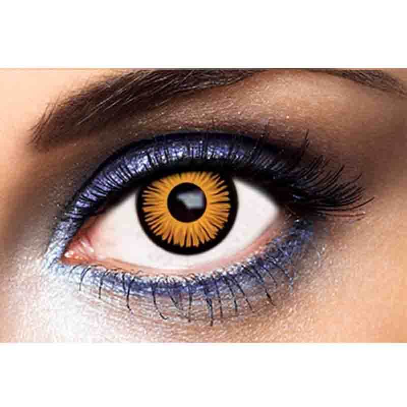 Lentes Edward 7 dias - Loja do Helder